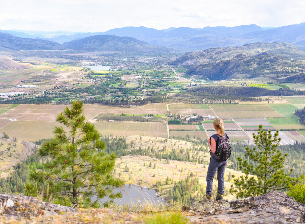 Canada's Wine Capital | Oliver Tourism